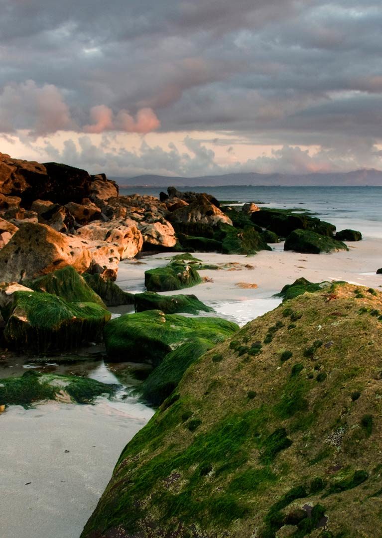 Hotels Near Tralee Bay Wetlands | Ballyroe Lodge